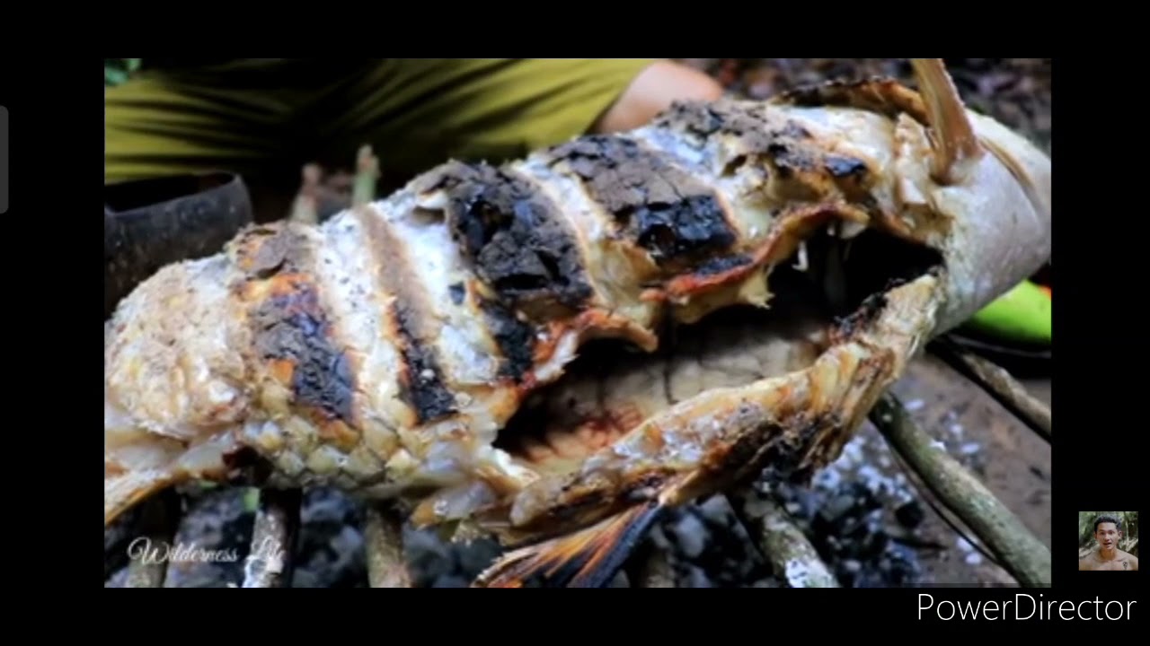 Cooking and Eating Fish in Forest to Servive - YouTube