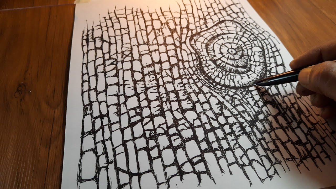 Tree Bark Texture Drawing | How To Draw Tree Trunks | Tree Texture ...