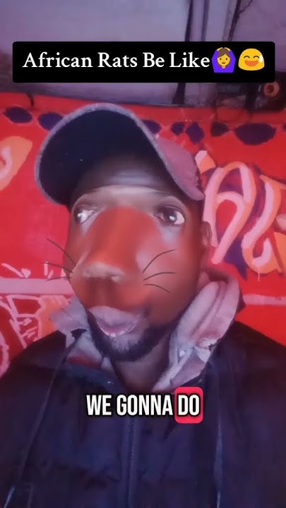 African Rats be like🙆😅😂😂😂😂 - YouTube
