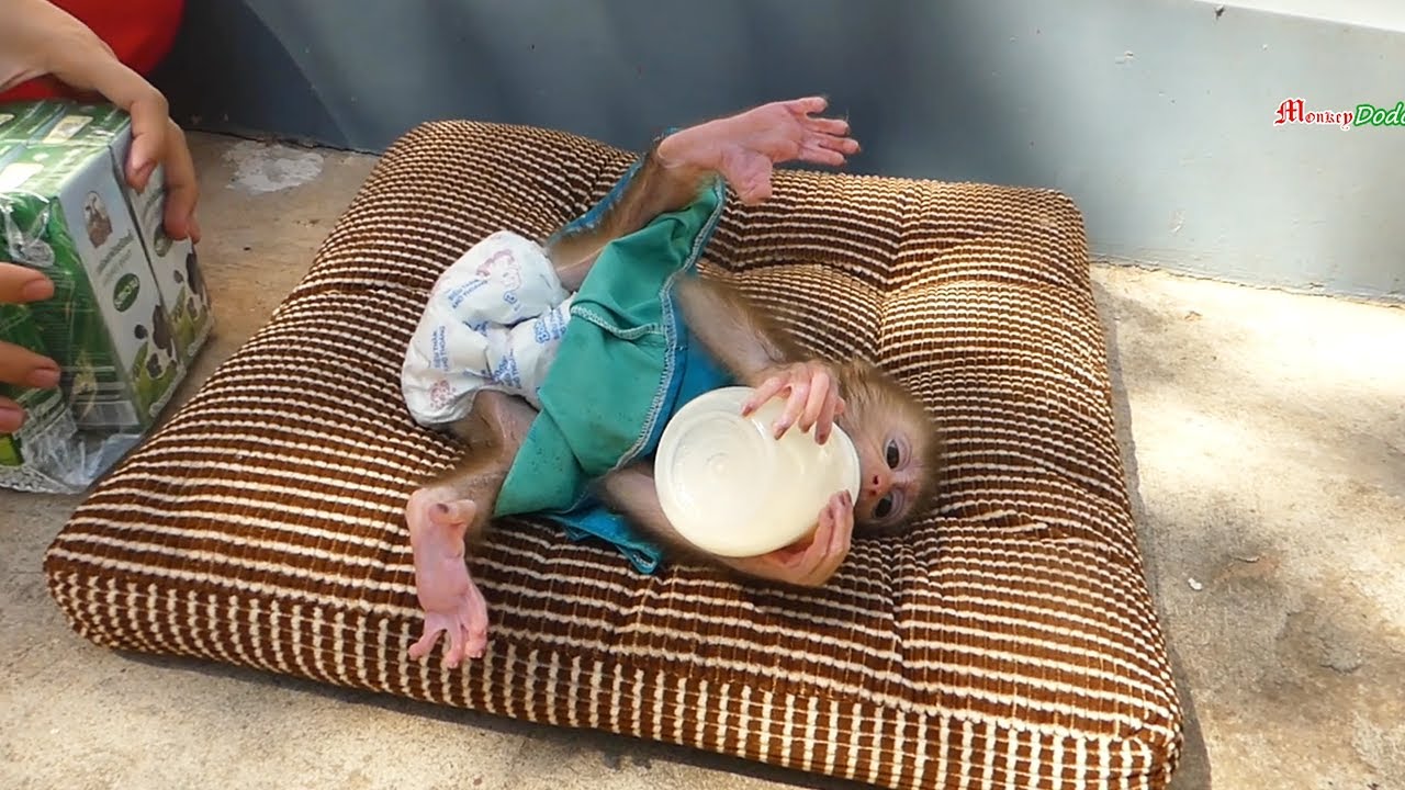 Wow Amazing Style When Shusy Drink Milk - YouTube