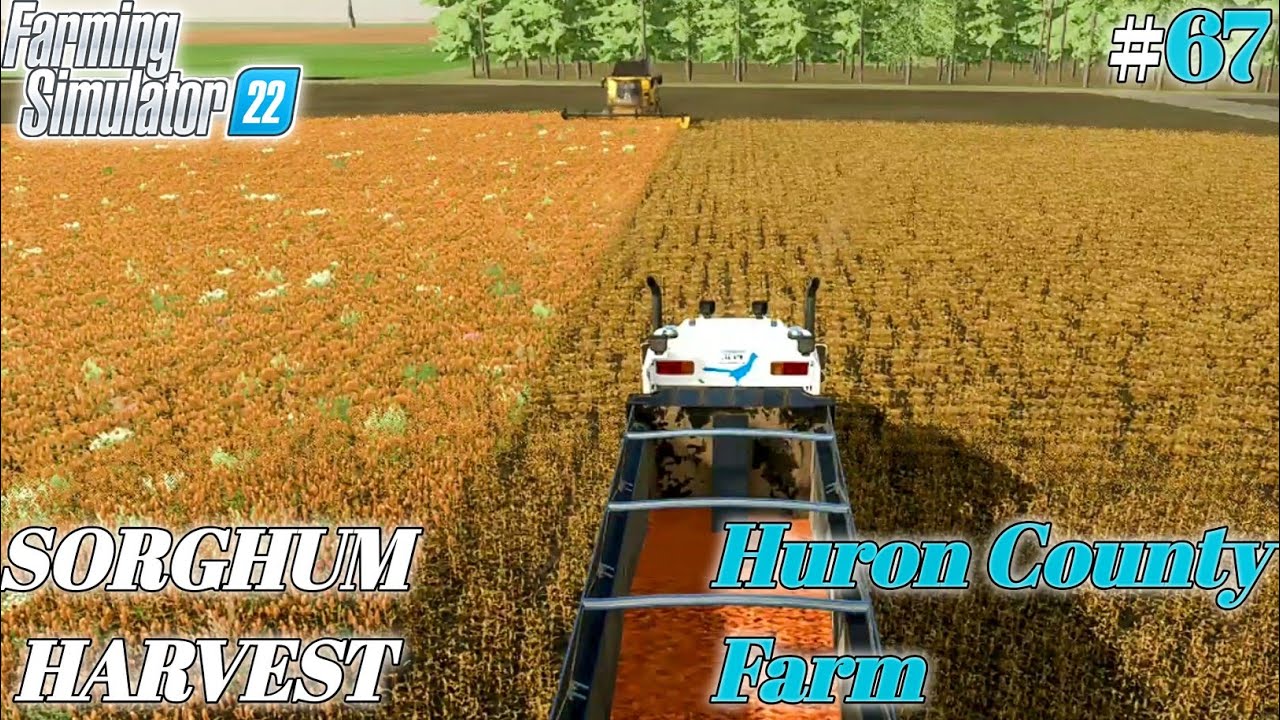 FS22 Sorghum Harvest With 3 Combine, Huron County Farm Timelapse Ep #67 ...