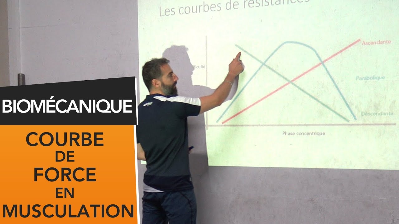 Les courbes de résistance en musculation [COURS STAPS] - YouTube