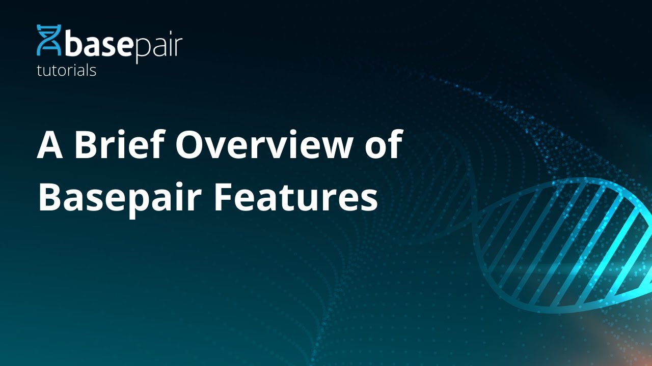 A Brief Overview of Basepair Features - YouTube