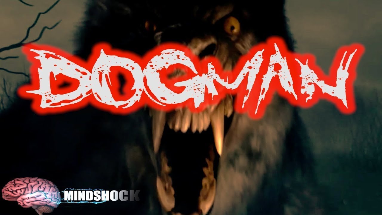 DOGMAN - CRYPTID ORIGINS (MINDSHOCK PODCAST) #dogman #cryptozoology # ...