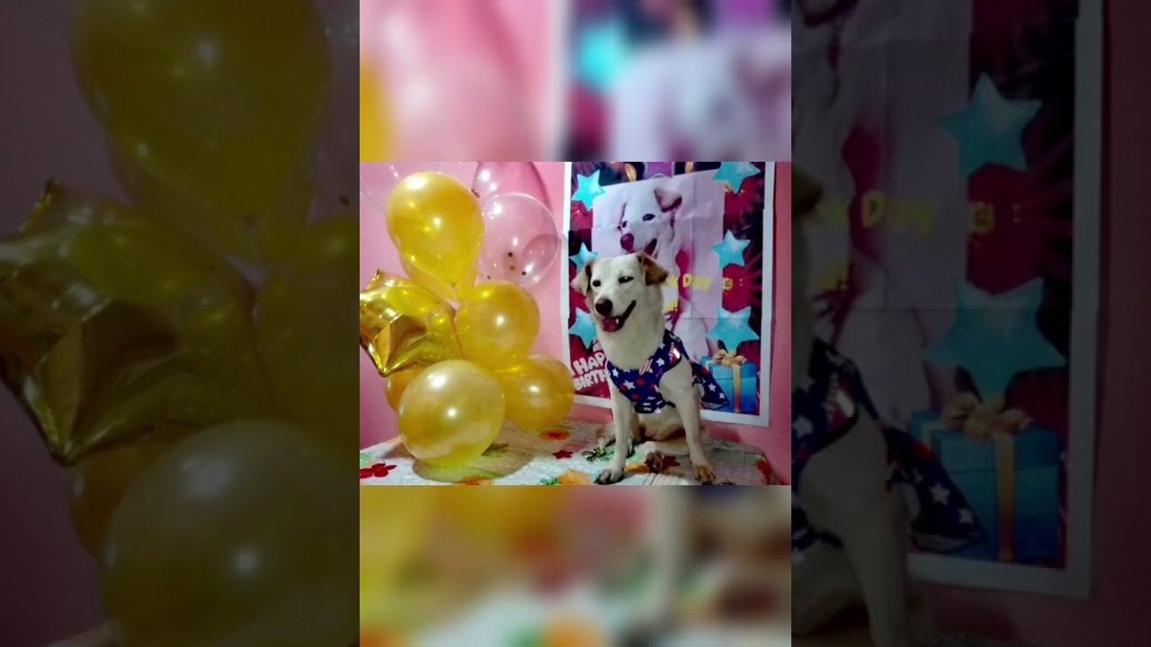 My sister only daughter Starla birthday celebration together w/ friends ...