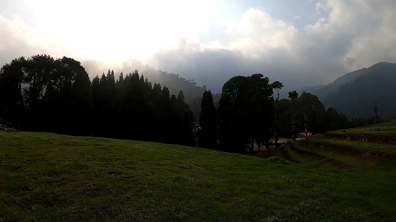 Summer Trek To Sandakphu (Part 1) - Rimbick to Gorkhey {POV} - YouTube
