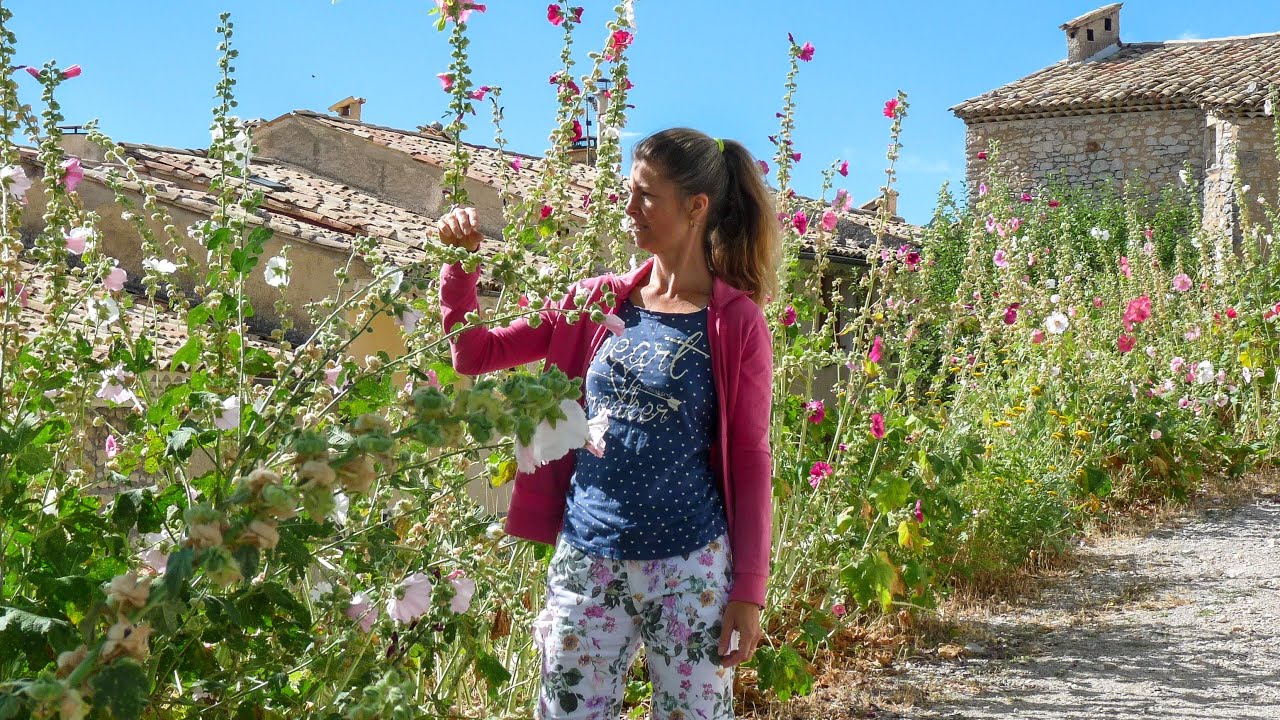 Spanda - Vibration cosmique - YouTube