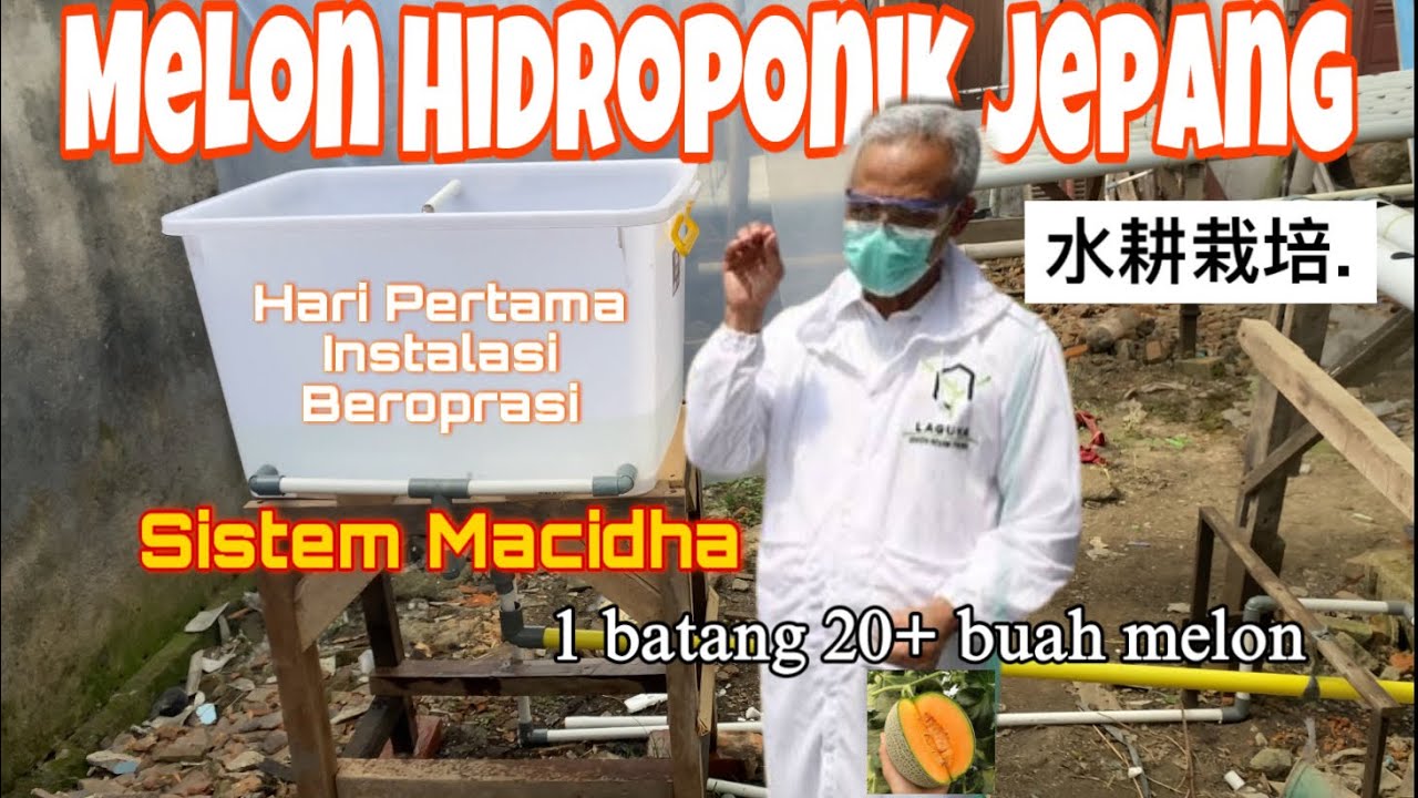 Melon hidroponik jepang | hari pertama beroprasi instalasi sistem ...