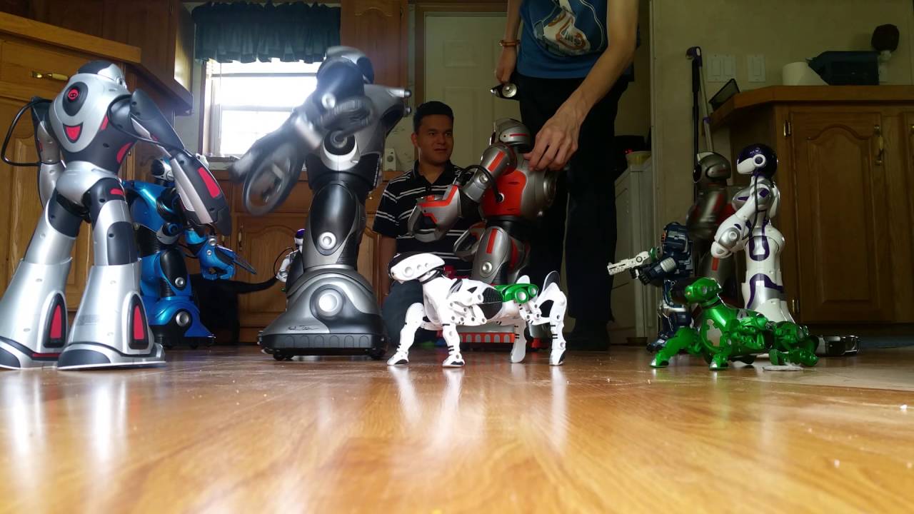 Robots roaming with zorua635 - YouTube