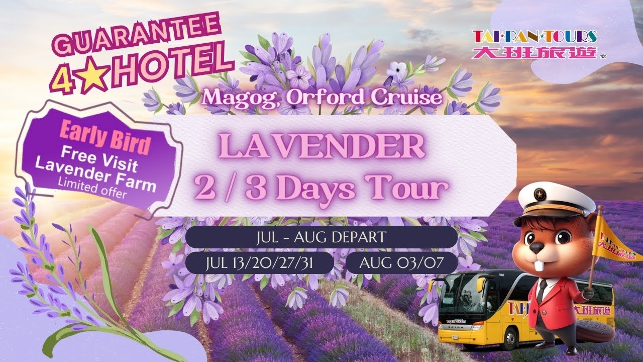 One Single Tour, Double the Enjoyment! Lavender 2/3-Days Tour - YouTube