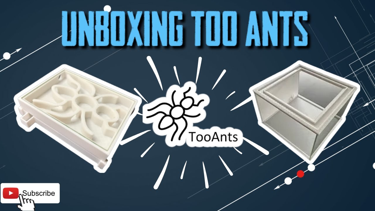 UNBOXING BOUTIQUE TOO ANTS (3D) - YouTube