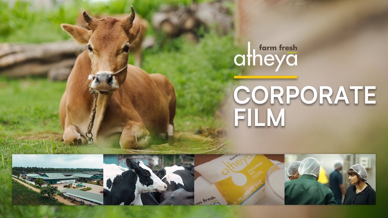Atheya Milk - MILK FROM A SINGLE HEALTHY FARM - Corporate Video - YouTube