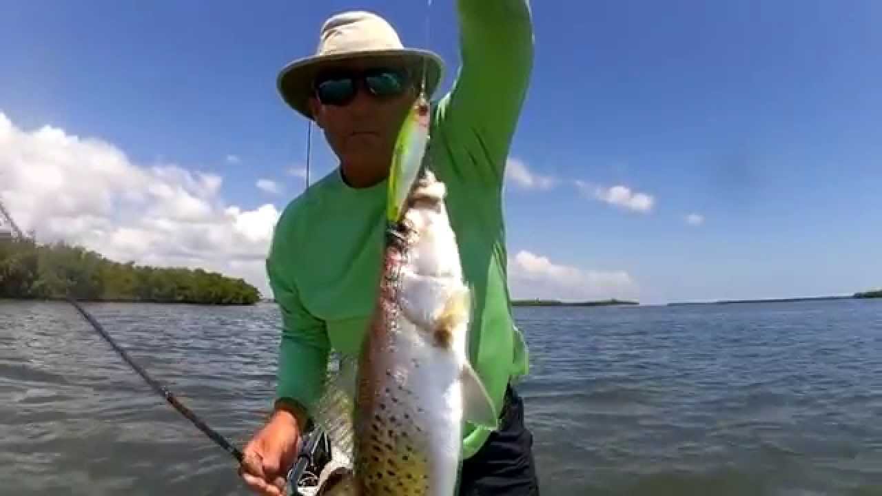Trout Fishing In Sebastian - YouTube