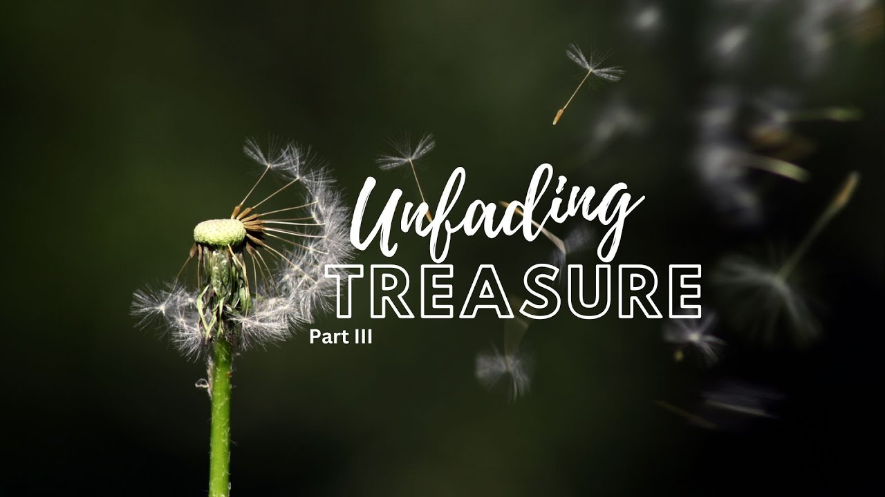 Unfading Treasure Part 3 | Simon van der Pol | 3 Nov 2024 | Freedom ...