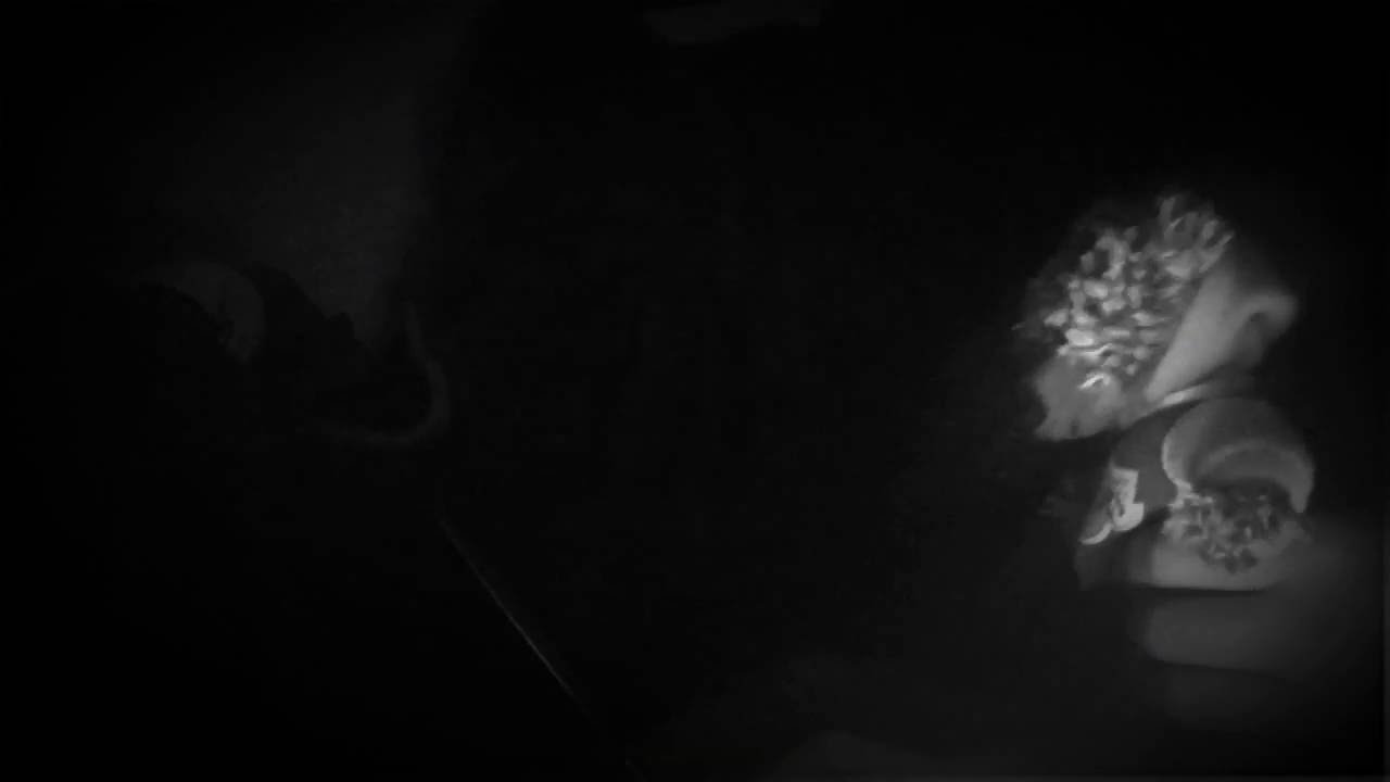 Macbeth floating dagger scene. Brit lit project - YouTube