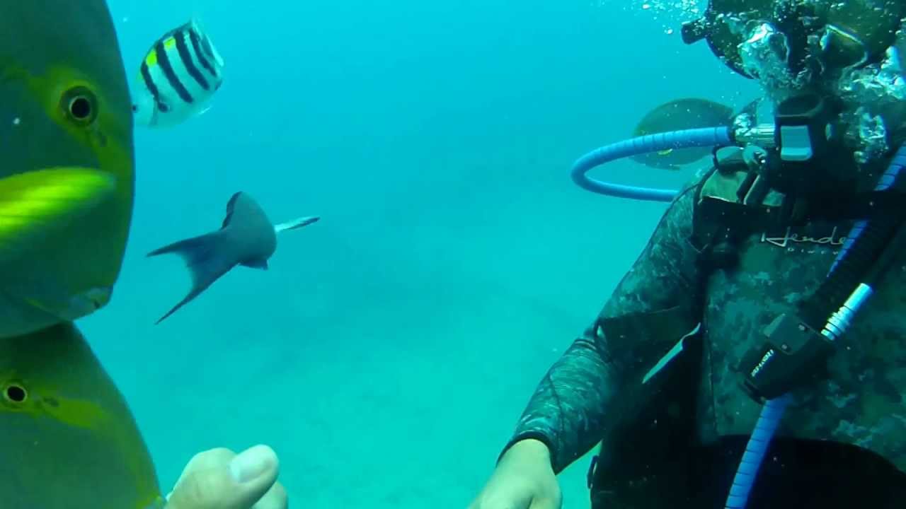 Breathing Observation Bubble - YouTube