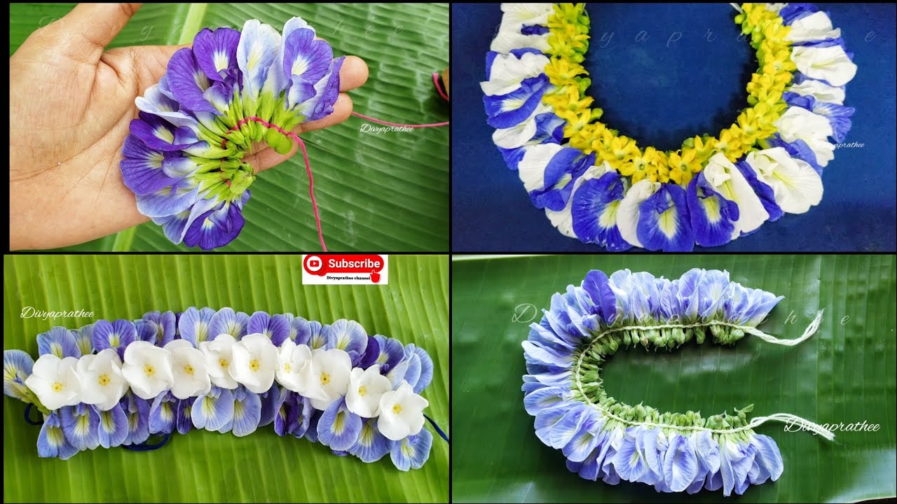 Different 4 garlands of சங்கு பூ,Shankha Pushpa,സന്ഗ,अपराजिता ...