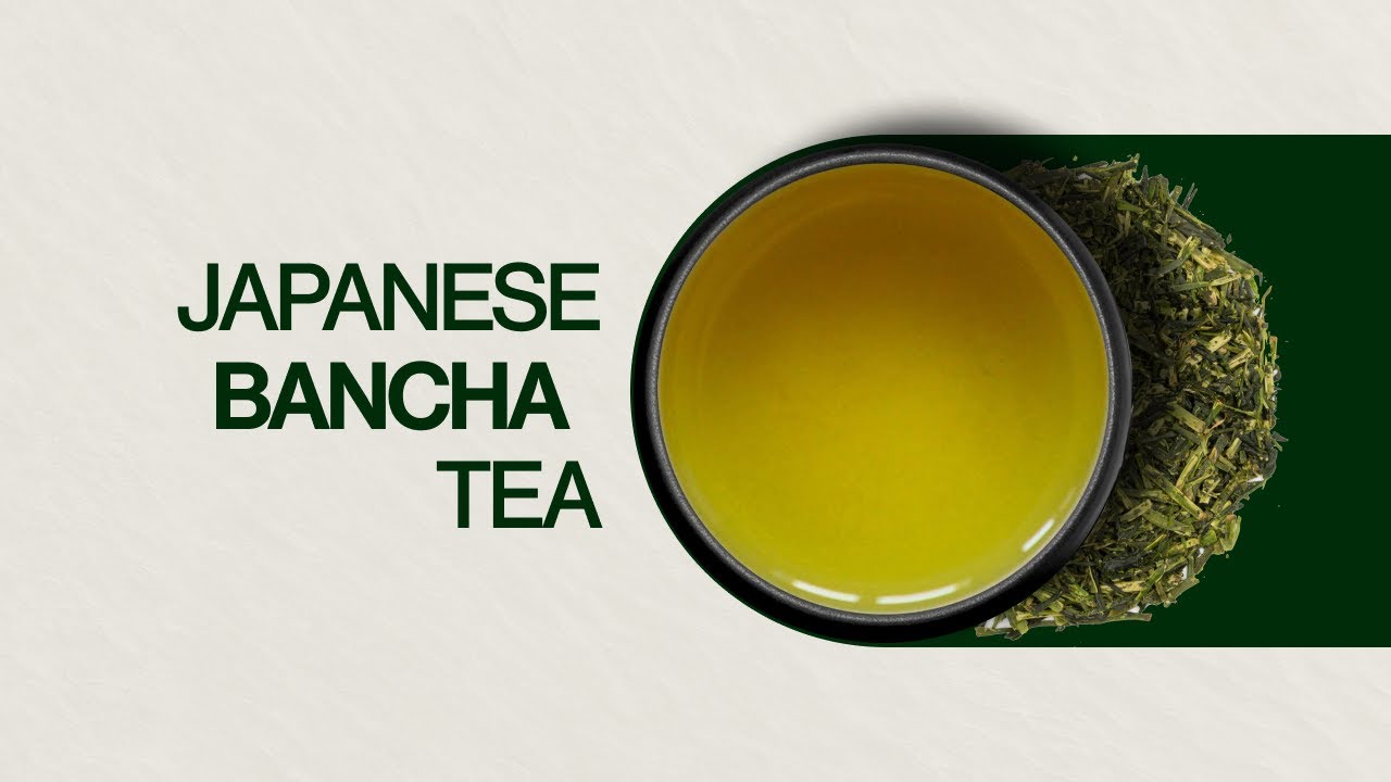 What is Japanese Bancha Tea? How Bancha is made, how to brew bancha green tea and more! - YouTube