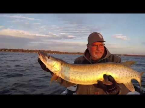 Fall Muskie trolling Mille Lacs - YouTube