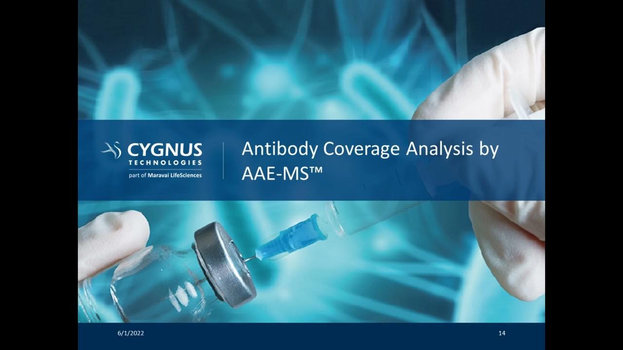 Bridging Anti CHO HCP Antibodies From Two Third Generation Cygnus CHO HCP ELISA Kits by AAE MS ...