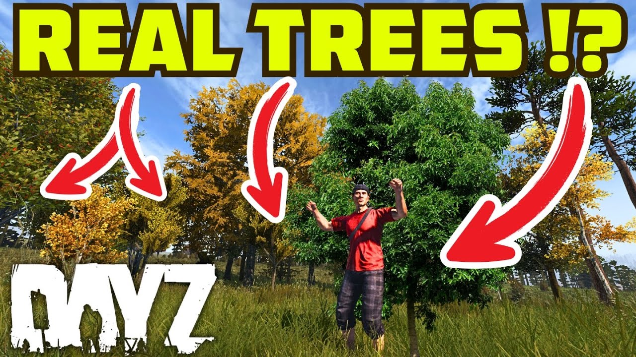 This DayZ Streamer Funds UK Tree Planting - YouTube