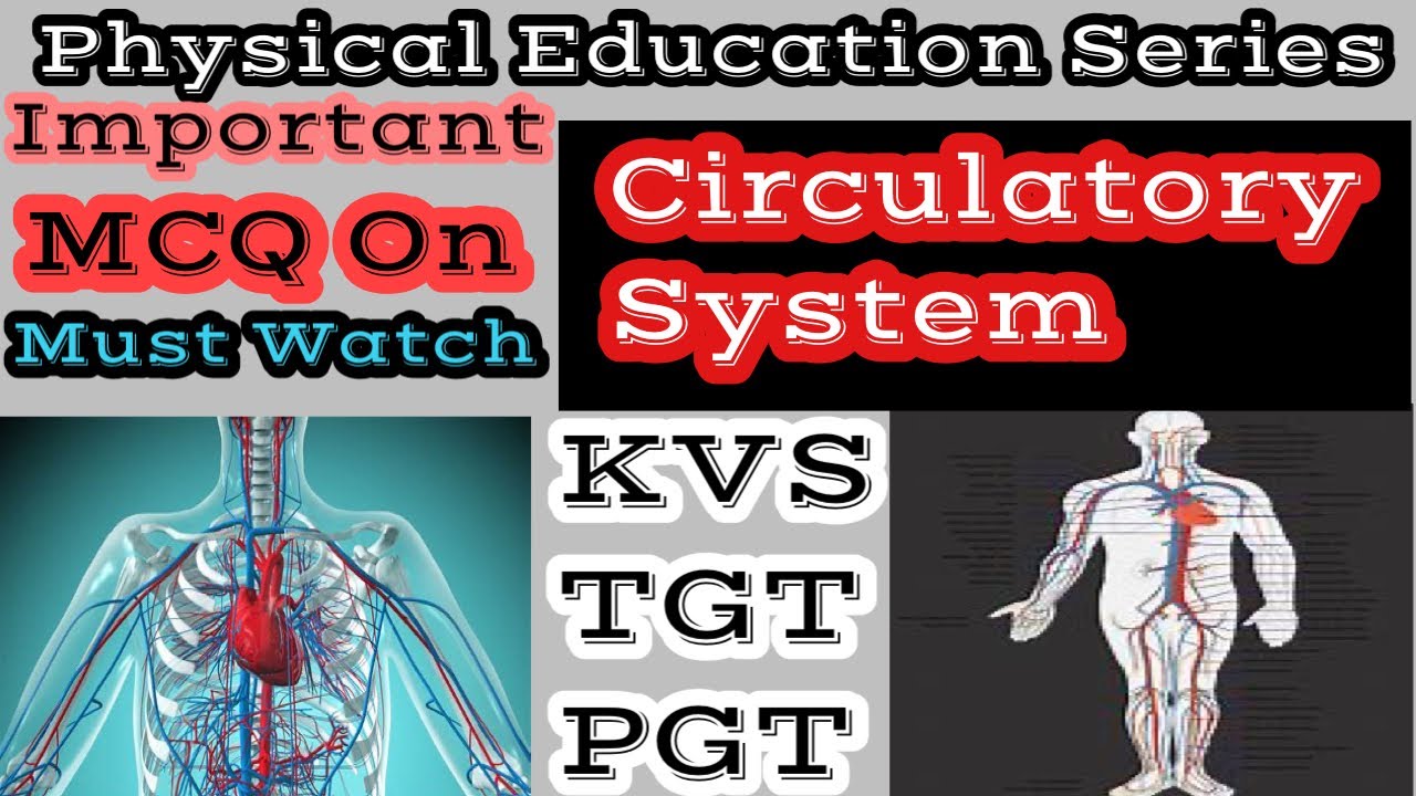 Circulatory System MCQ With Answers || MCQ On Circulatory System ...