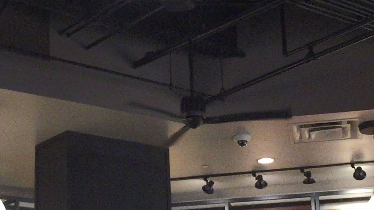 Restoration Hardware Ceiling Fans at Starbucks - YouTube