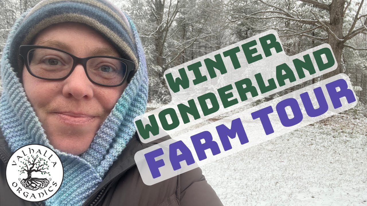 Winter Wonderland | Winter Farm Tour 2025 - YouTube