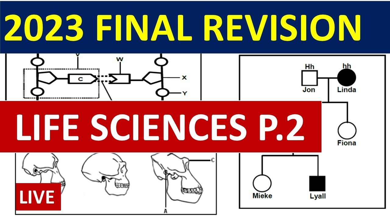 LIFE SCIENCES P.2 FINAL REVISION: PRELIM EXAMS 2023 BY: M.SAIDI - YouTube