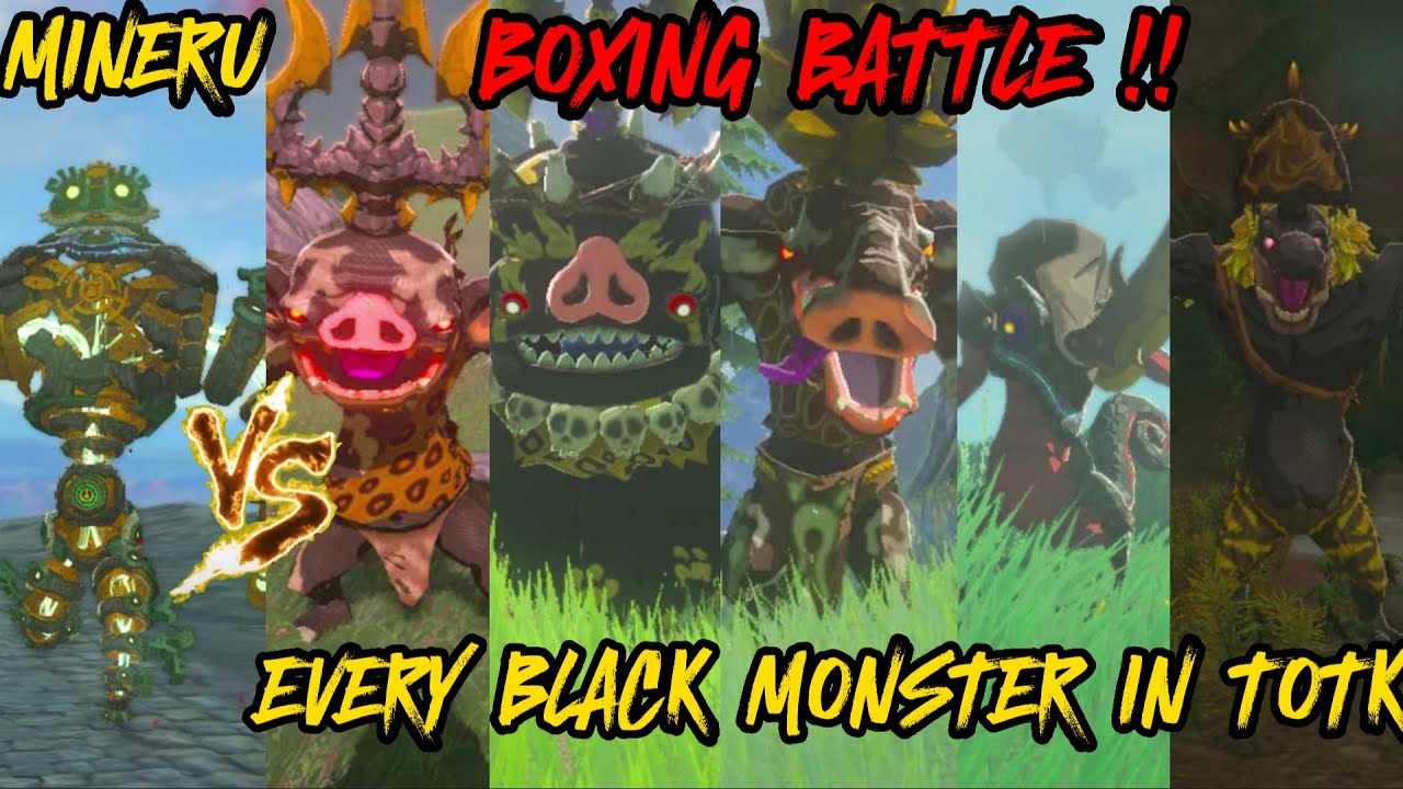 MINERU VS EVERY BLACK MONSTER IN TOTK ! (The Legend of Zelda: Tears of ...