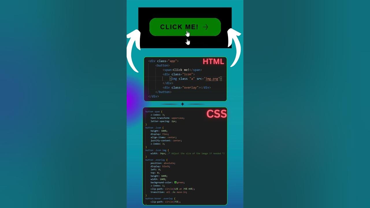 Animated Button 🔗shorts Html Htmlcss Css Csstricks Cssanimation Tutorial Tutorials Code