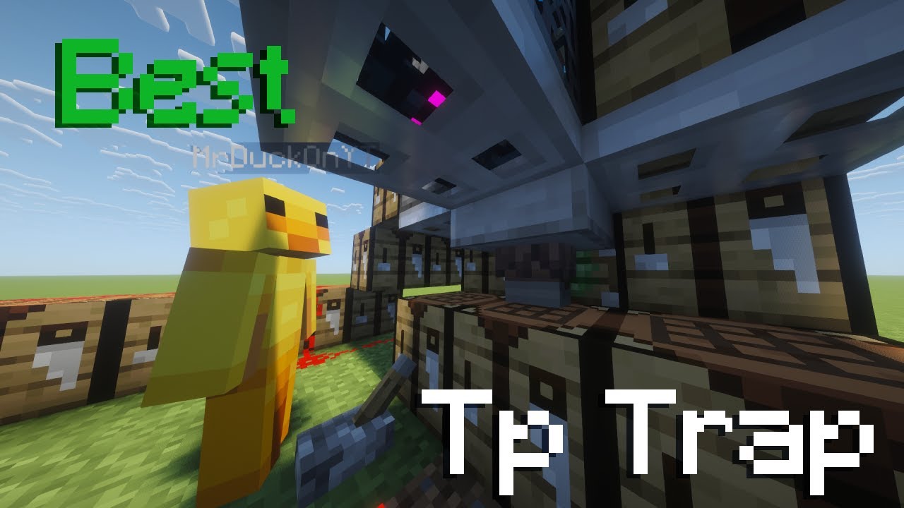 Best TP Trap in DONUTSMP [UPDATED] - YouTube