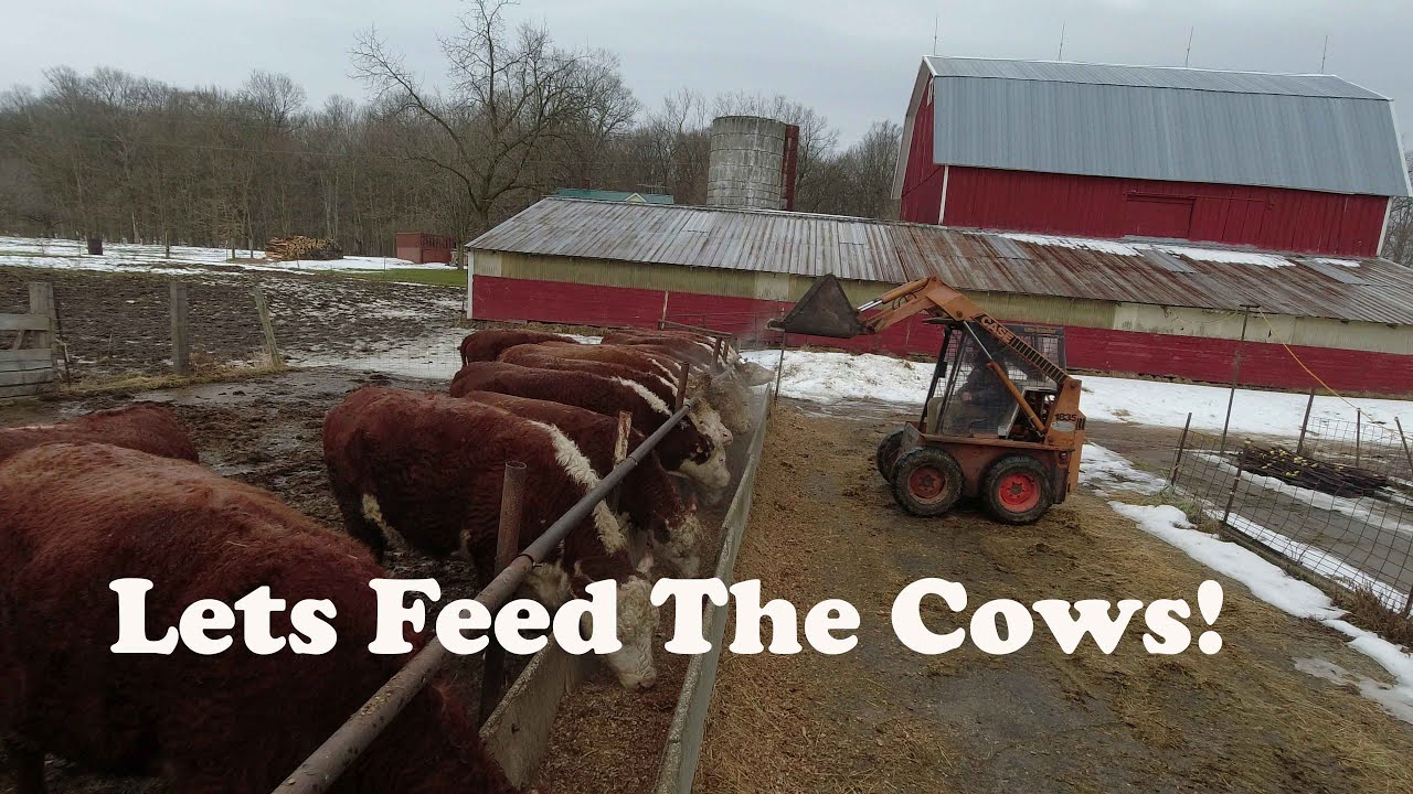 Episode 23 A Day On The Farm - YouTube
