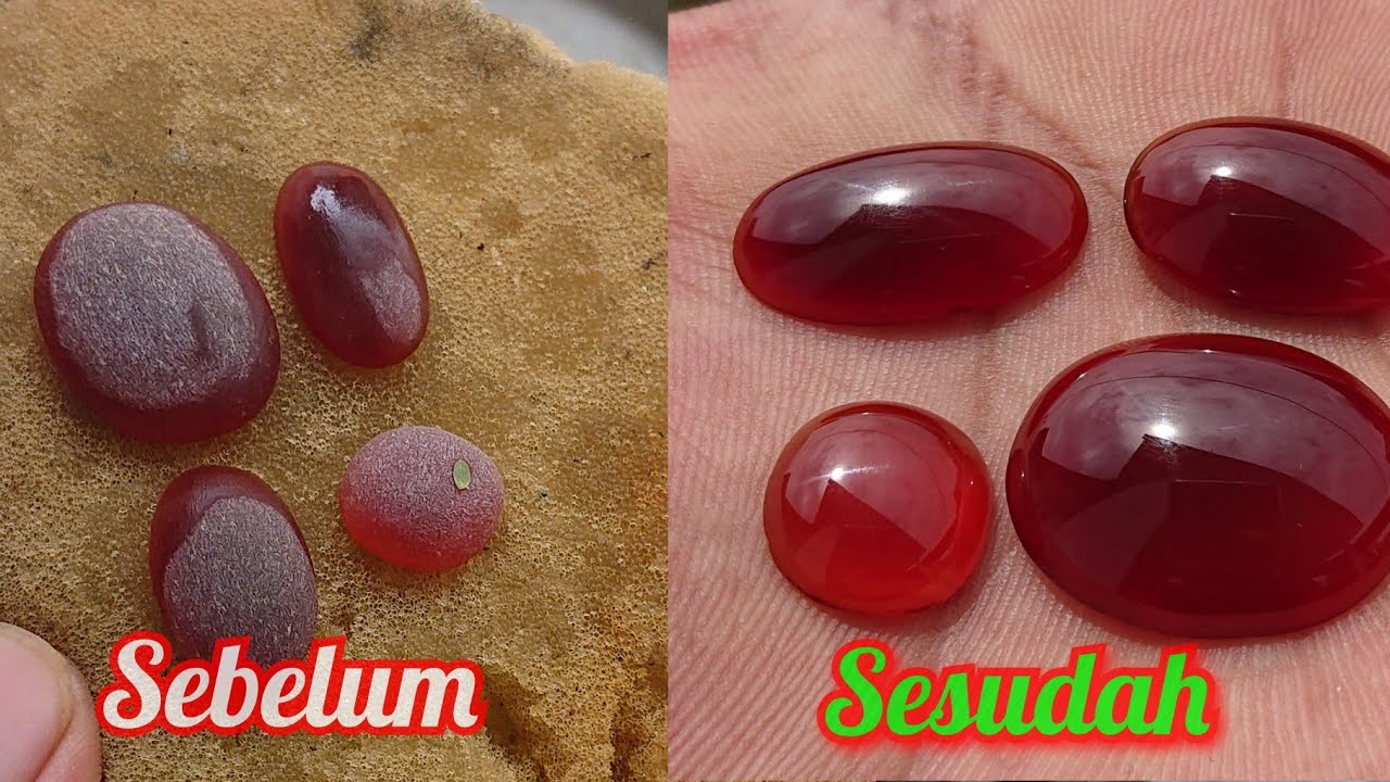 Mengilatkan Batu Akik Red Rafflesia. - YouTube