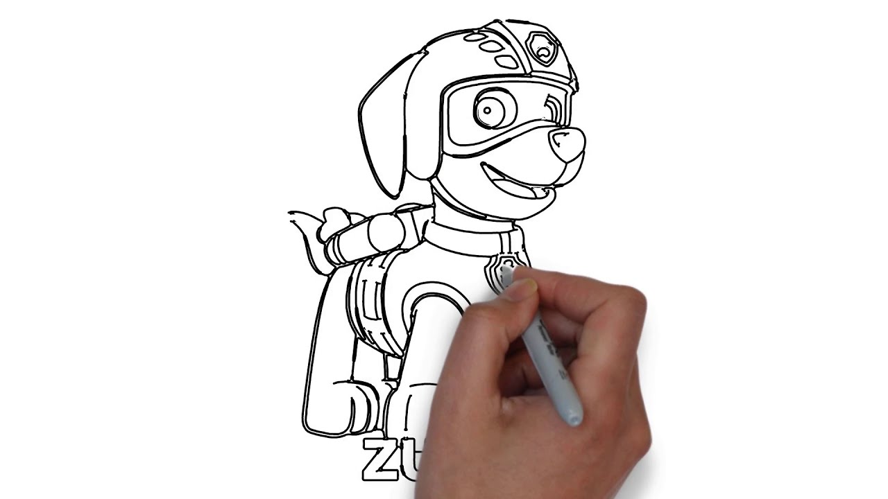 How to Draw Paw Patrol Zuma Step by Step Video Tutorial - YouTube