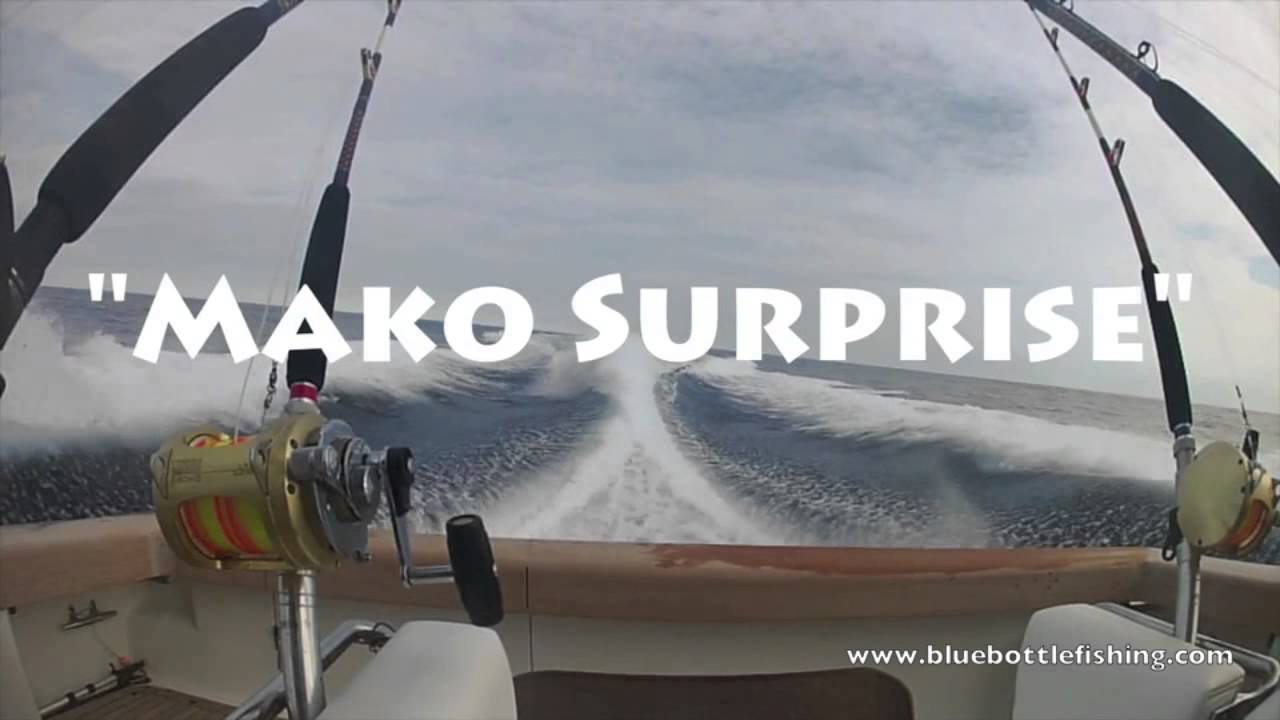 TrollPro and GoPro - YouTube