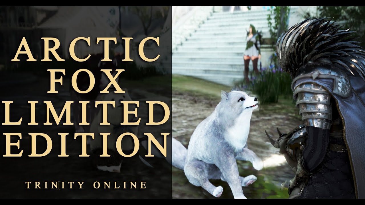 SPECIAL PET LIMITED EDITION CHRISTMAS PREVIEW BDO [ TRINITY ONLINE ] - YouTube