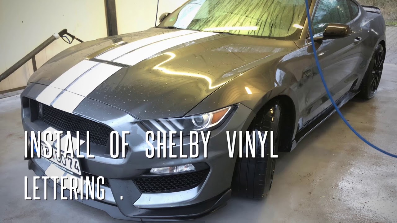 Shelby Gt350 Vinyl Lettering Install / Review - YouTube