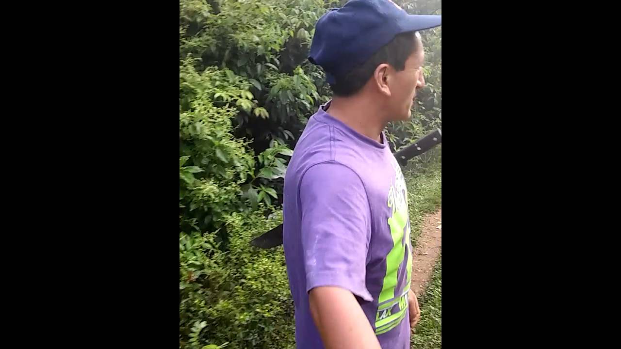 VALLE DE TASO CHICO -BELLA AURORA- COCHABAMBA - YouTube