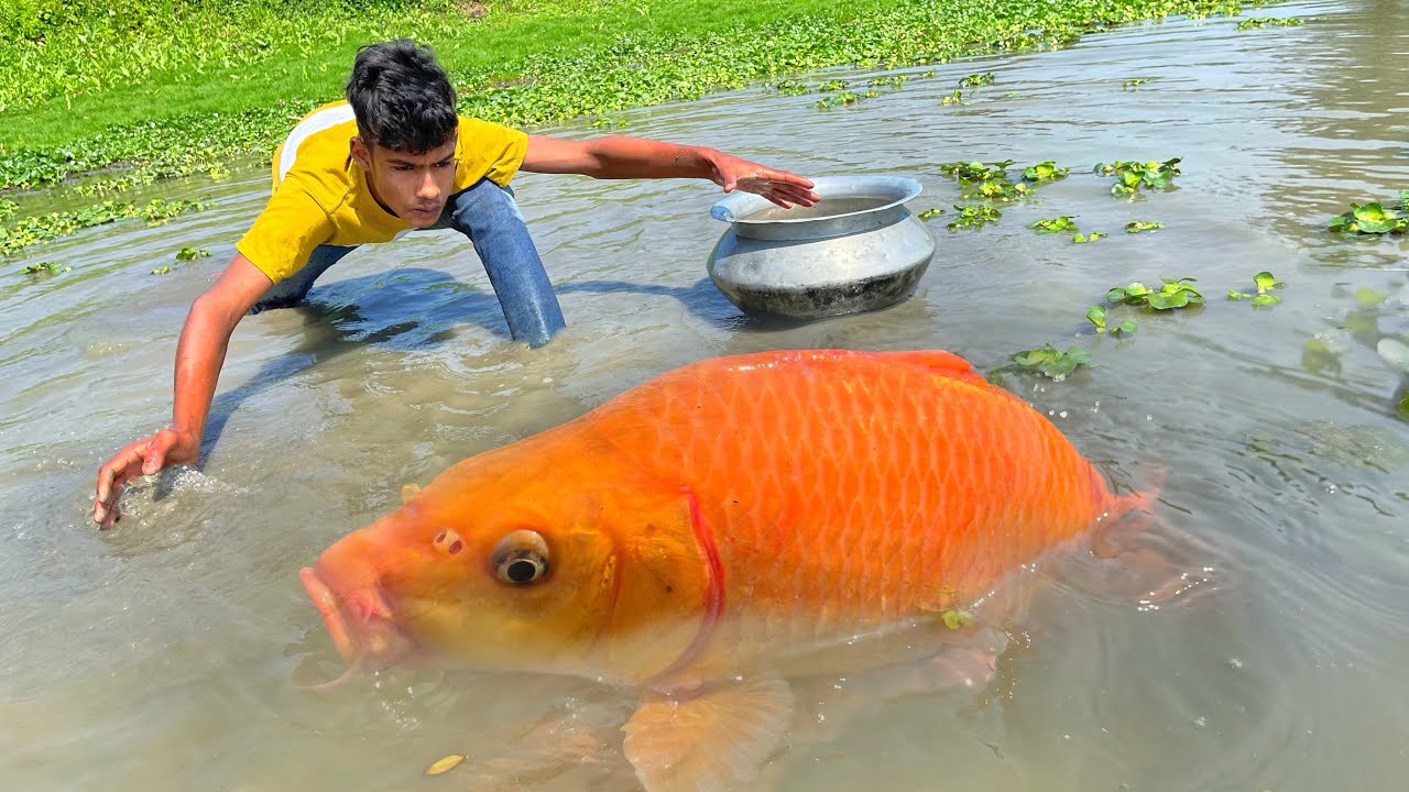 Best Hand Fishing Video | Amazing Village Boy Catching Fish By Hand In ...