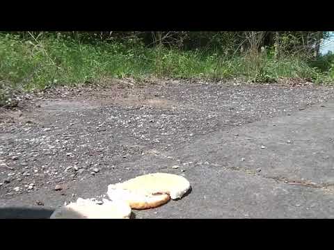 Burger crush/food crush in dirty wedges