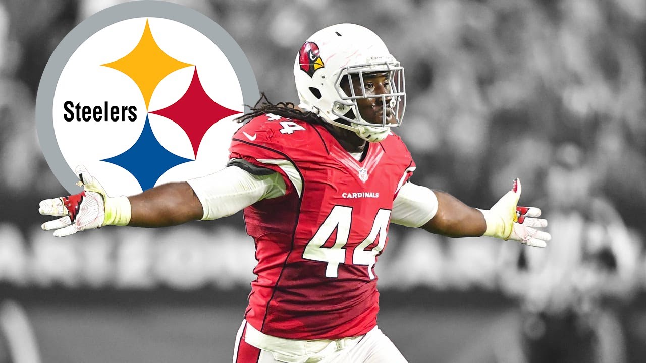 Markus Golden Highlights 🔥 - Welcome to the Pittsburgh Steelers - YouTube