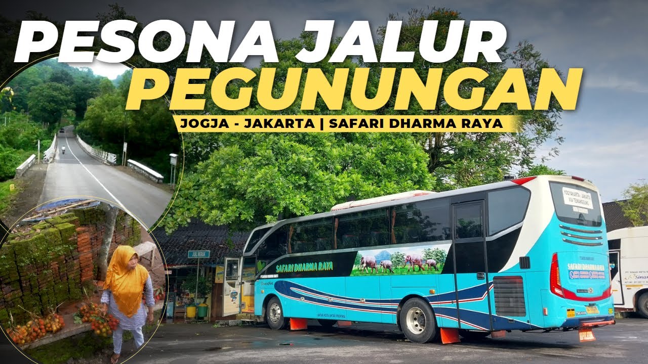 PESONA BUS JALUR GUNUNG | Safari Dharma Raya Angkatan Pagi Jogja ...