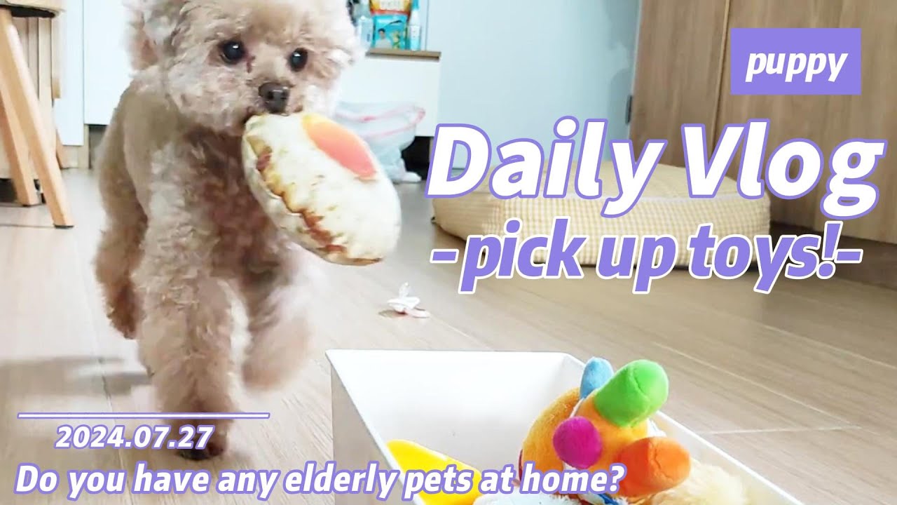 Whose puppy is so smart and cute?Puppy pick up toys!!so cute! - YouTube