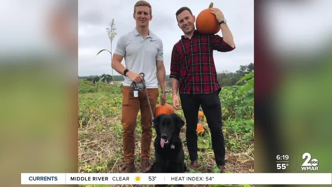 Family and dog-friendly farm offers fall fun for all - YouTube