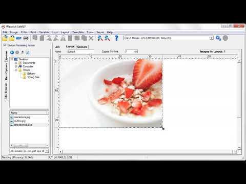 Wasatch SoftRIP - Dynamic Layout - YouTube