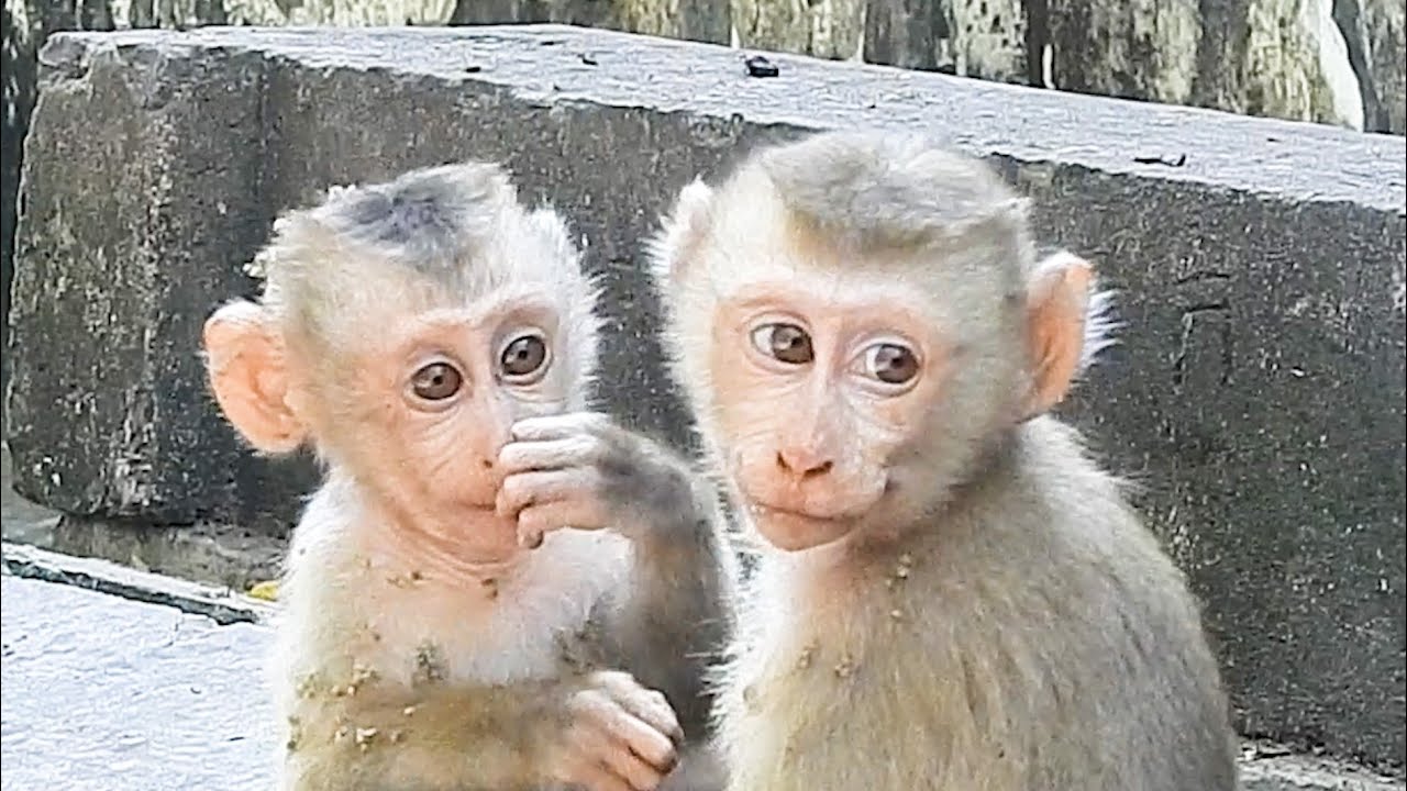 The Best Ever, Lucie Suddenly Show Up Making Lonely and Dirty Baby LEO ...