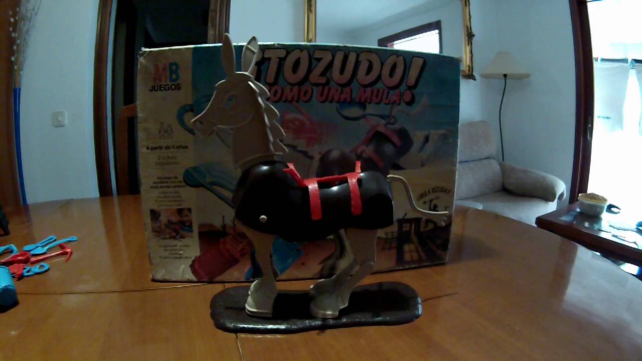 ¡Tozudo! Como una mula. - YouTube