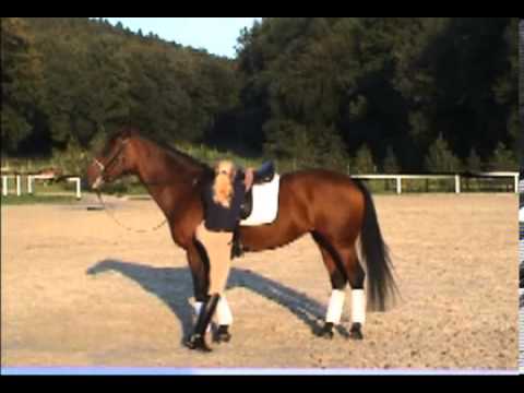 Das korrekte Aufsteigen - Correct Mounting - YouTube