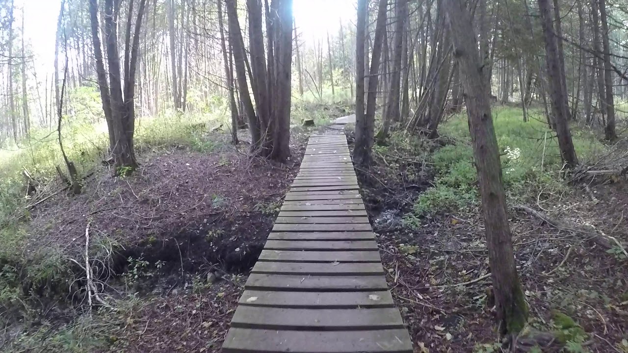 Steam whistle trail (Lower Portion) - YouTube
